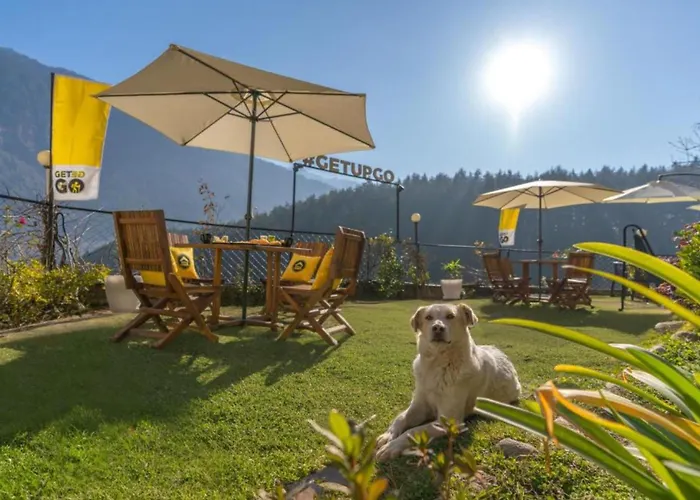 Freedom Hostel Budva - Updated 2025 Prices